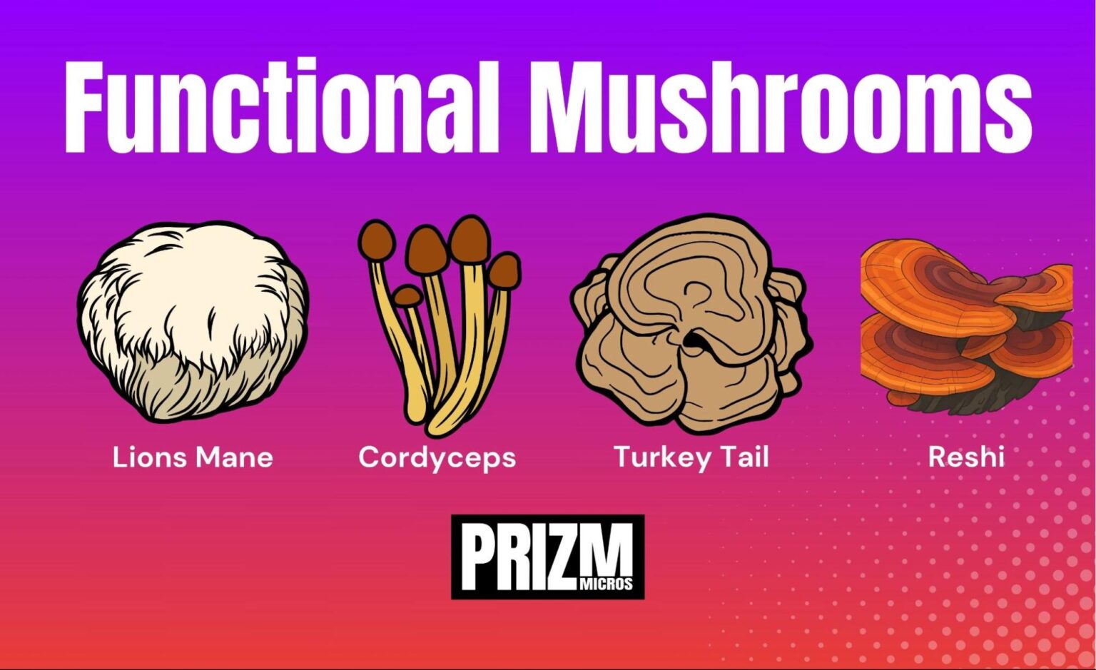 9 Legal Psilocybin Alternatives That Actually Work (And Feel Good)